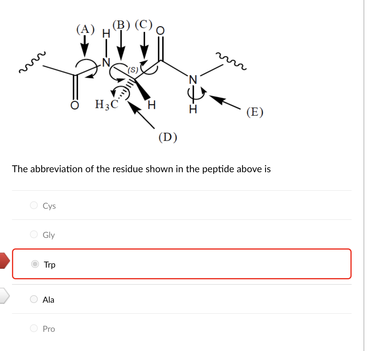 Solved The abbreviation of the residue shown in the peptide | Chegg.com