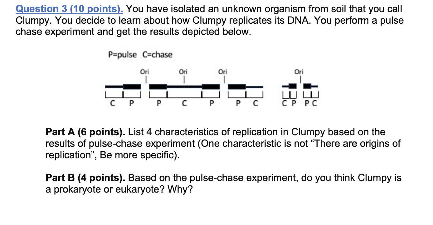 Solved Question 3 (10 ﻿points). ﻿You have isolated an | Chegg.com