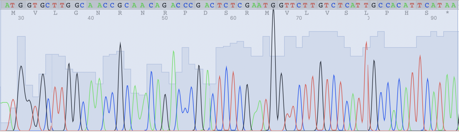 Solved How Do I Interpret This Chromatogram