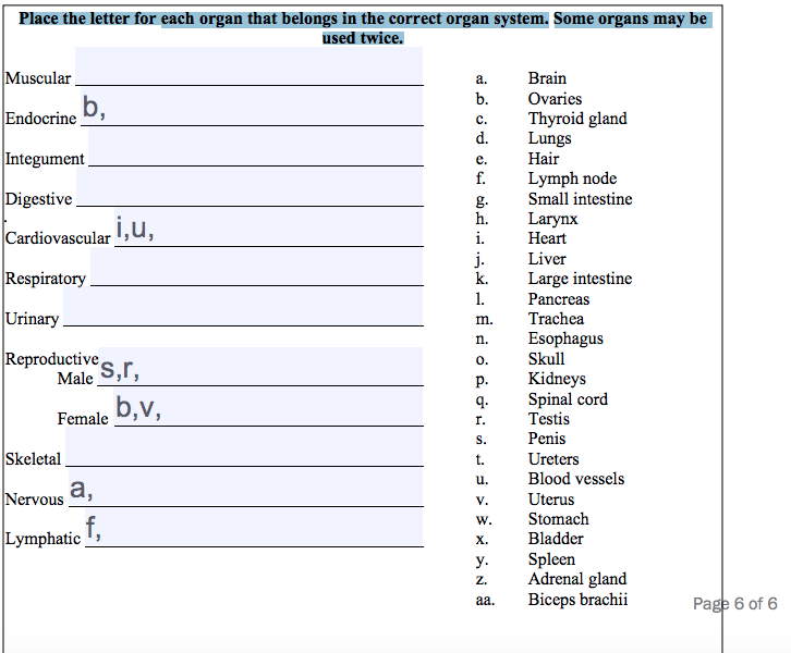 Solved Place the letter for each organ that belongs in the | Chegg.com