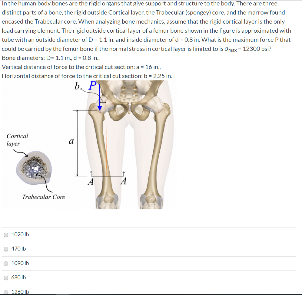 Solved In the human body bones are the rigid organs that | Chegg.com