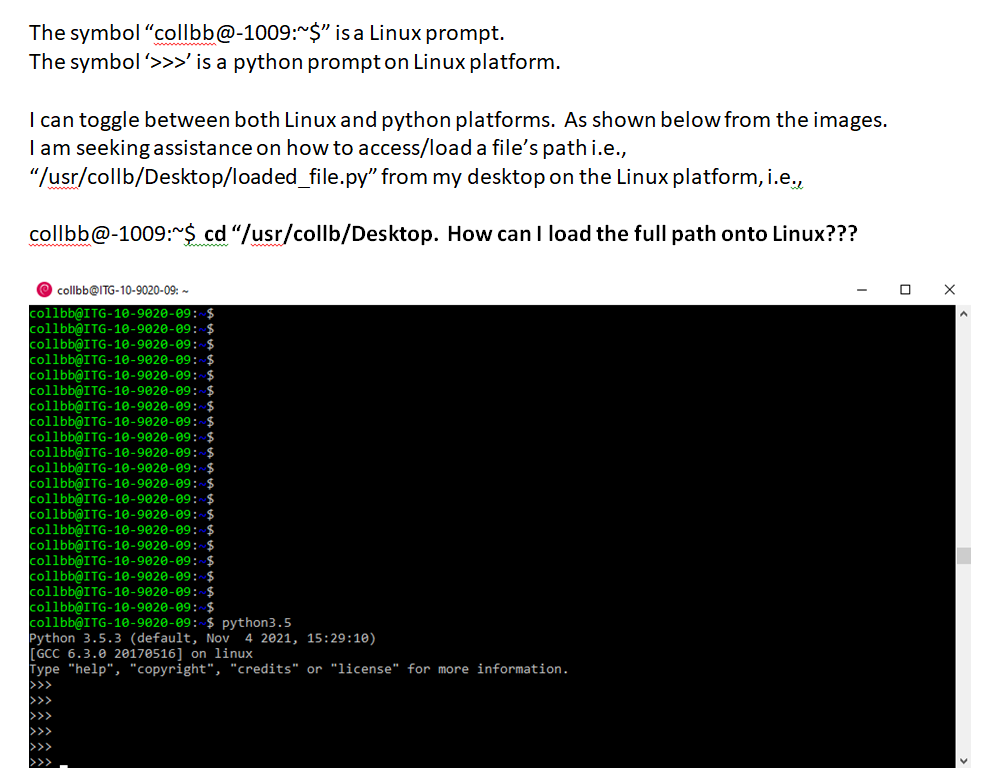 Solved The symbol "collbb@-1009: \$" is a Linux prompt. The | Chegg.com