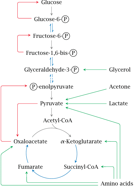 Solved 3. The citric acid cycle (CAC) is a cellular | Chegg.com