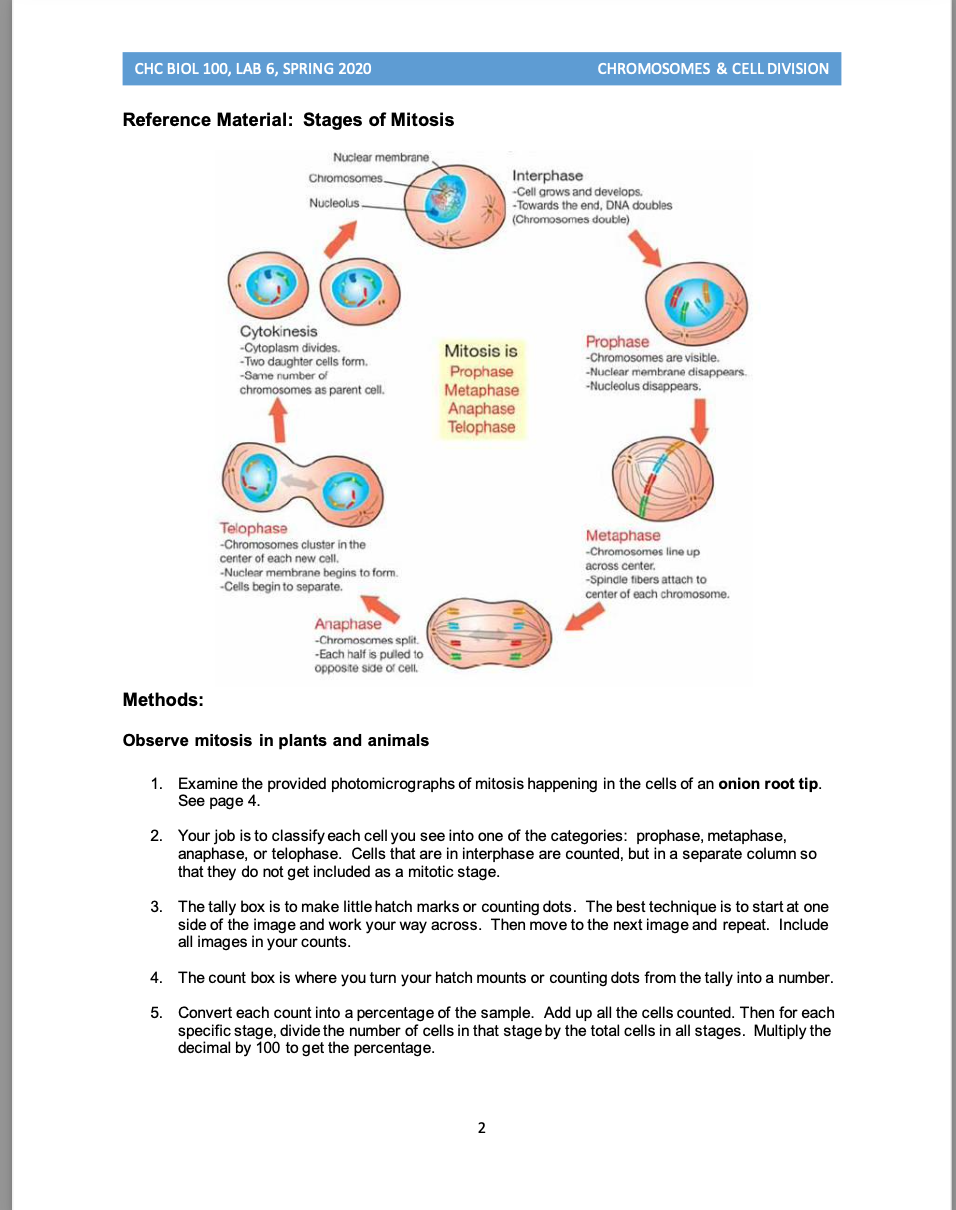 DIVISION Introduction: At the heart of a cell's | Chegg.com