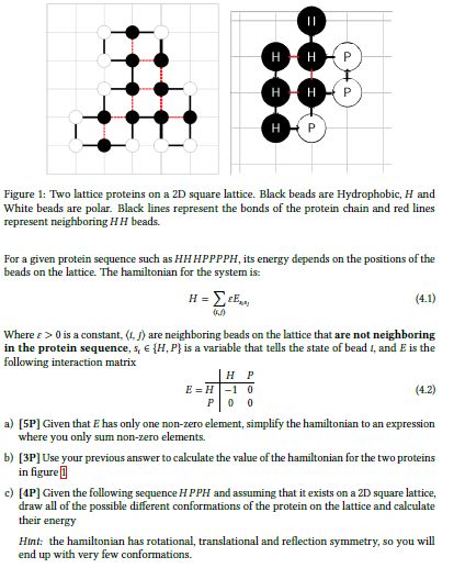 Solved Figure 1: Two lattice proteins on a 2D ﻿square | Chegg.com