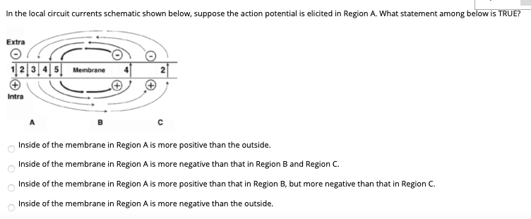 Solved 0 0 0 0 Which of the following statements are TRUE | Chegg.com