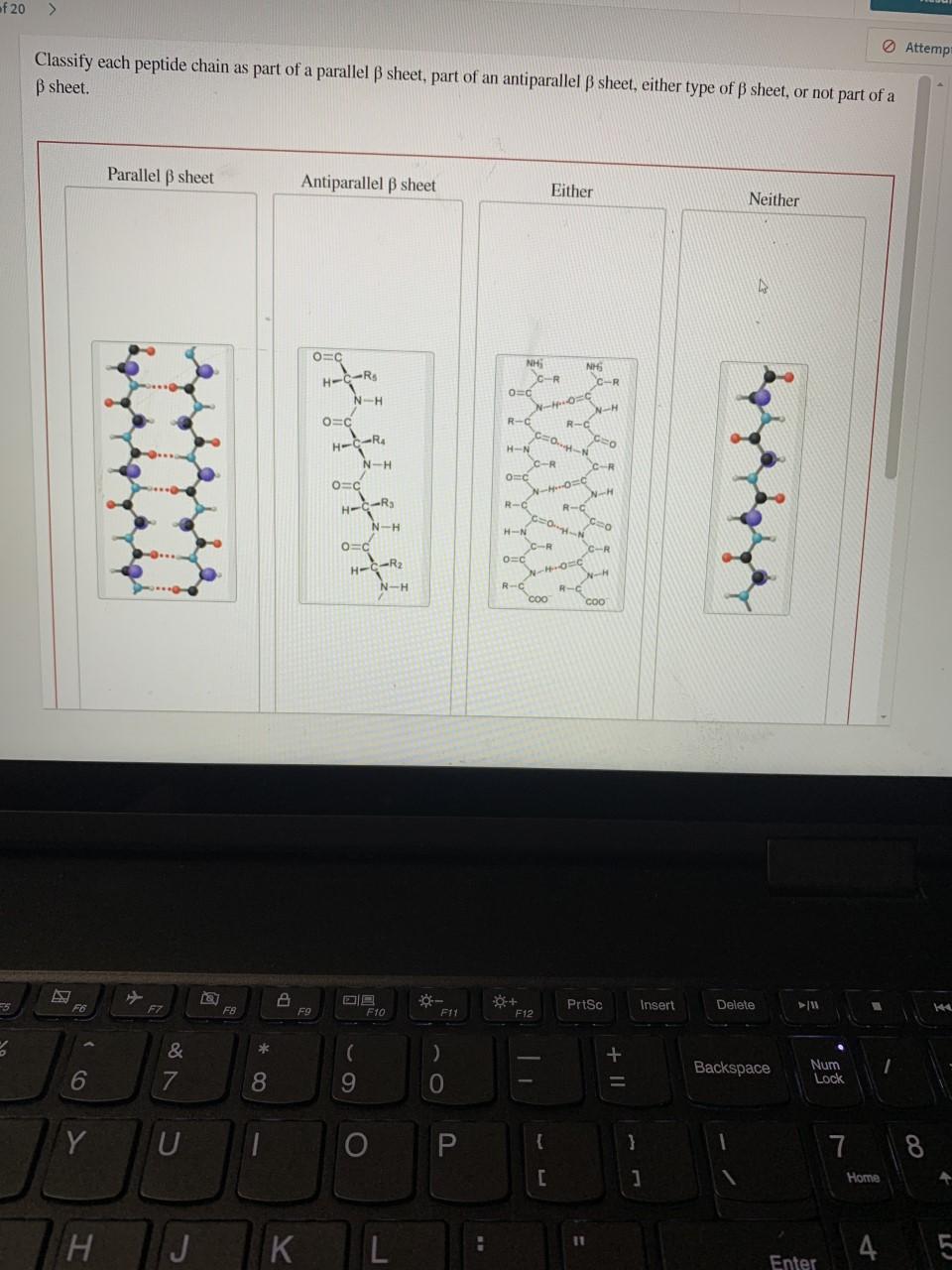 Solved of 20 > Attemp Classify each peptide chain as part of | Chegg.com