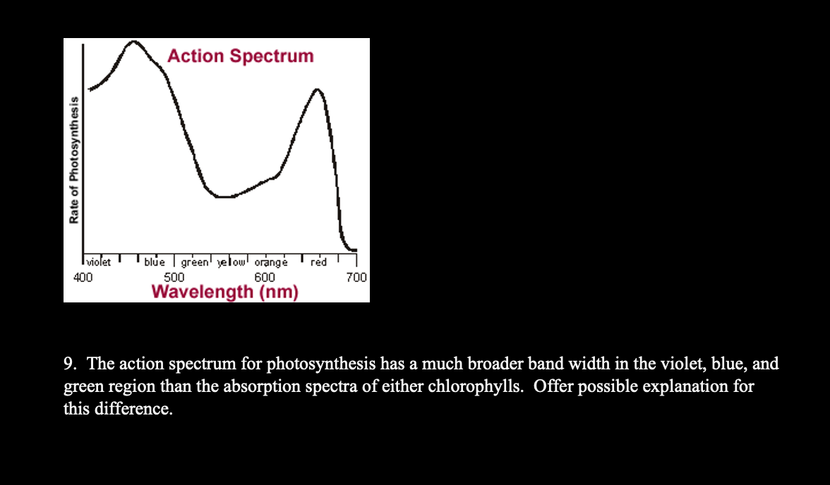 Solved 9. The action spectrum for photosynthesis has a much | Chegg.com