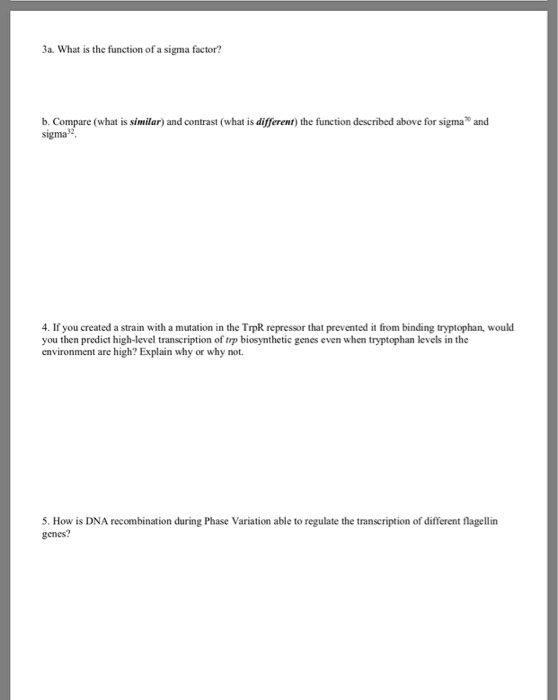 Solved 3a. What is the function of a sigma factor? b. | Chegg.com