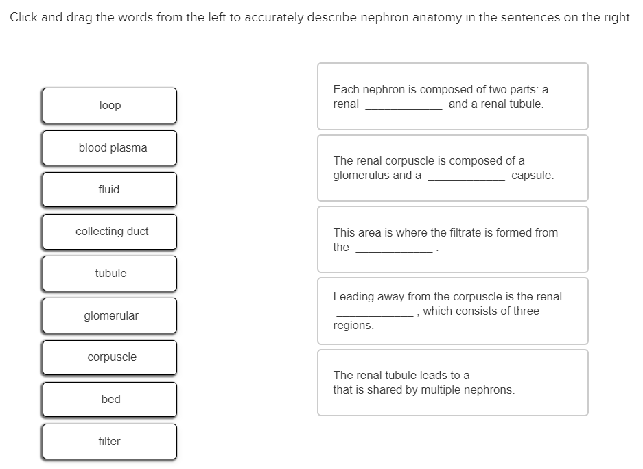 Solved Complete each statement by using the appropriate word | Chegg.com