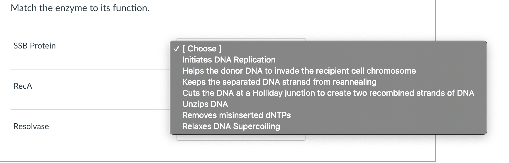 Solved Match the enzyme to its function. SSB Protein RecA | Chegg.com