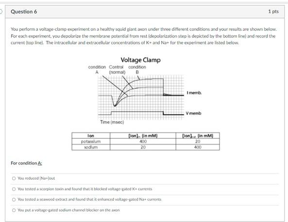 Solved You perform a voltage-clamp experiment on a healthy | Chegg.com