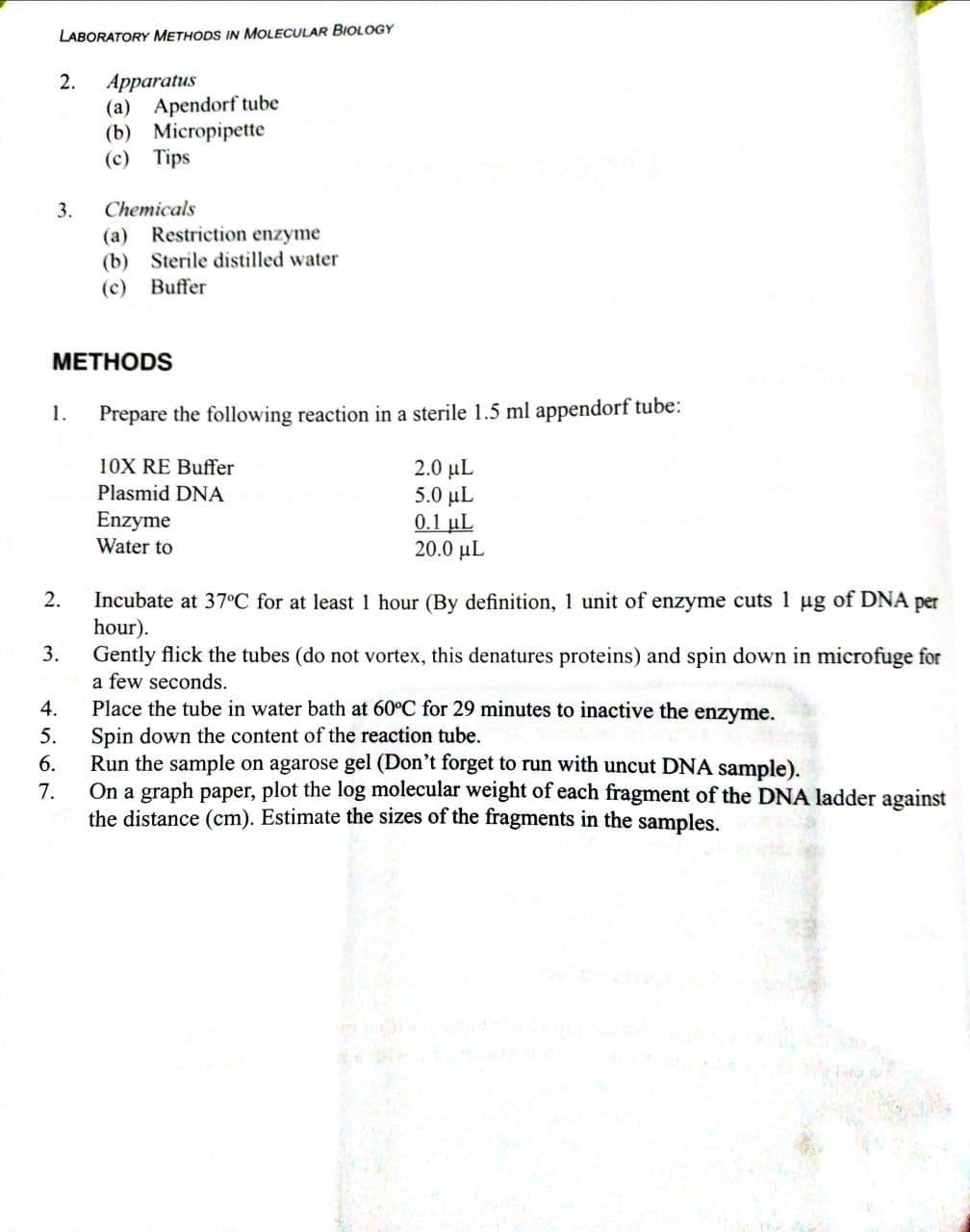 Solved Experiment 3 Digestion of DNA de INTRODUCTION | Chegg.com