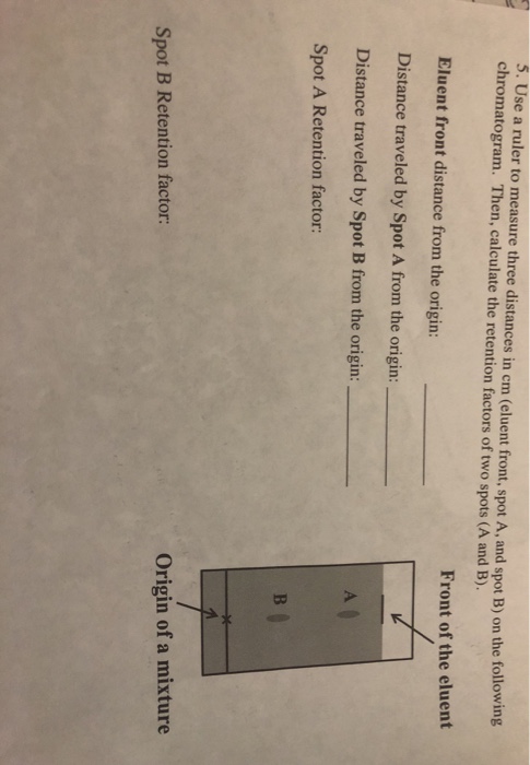 Solved Can you please point out what to measure for eluent | Chegg.com