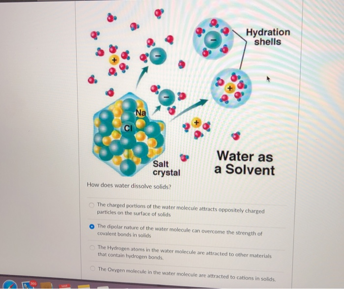 Solved Hydration shells 0% Cl 2P Salt crystal Water as a | Chegg.com