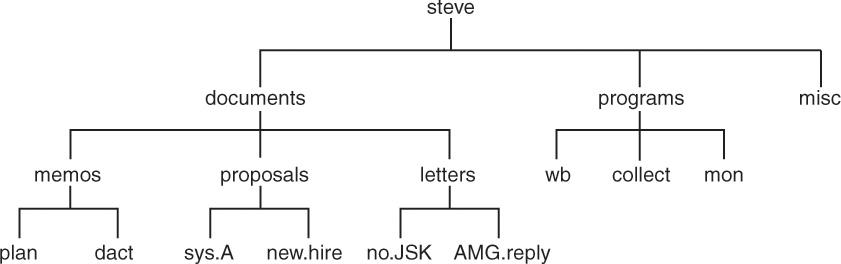 Solved For Linux Shell programing Using the directory | Chegg.com