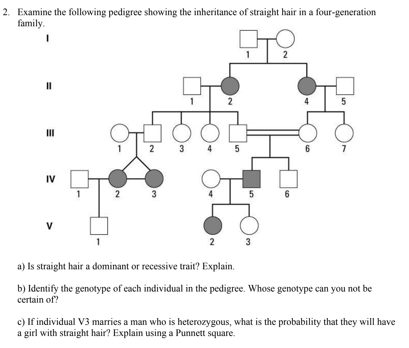 Solved Examine the following pedigree showing the | Chegg.com