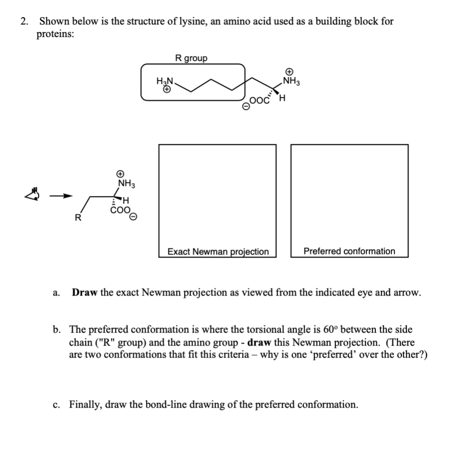 Solved Shown below is the structure of lysine, an amino acid | Chegg.com