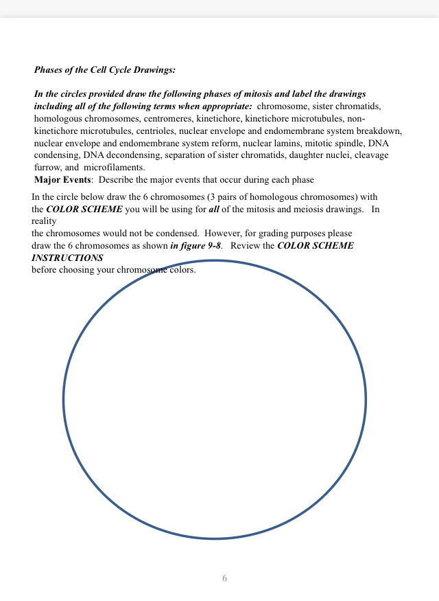 Solved Phases of the Cell Cycle Drawings: In the circles | Chegg.com