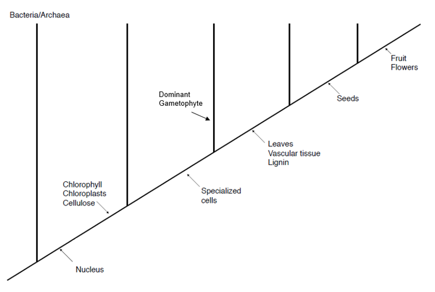 1. Sketch and label each of the organisms provided | Chegg.com