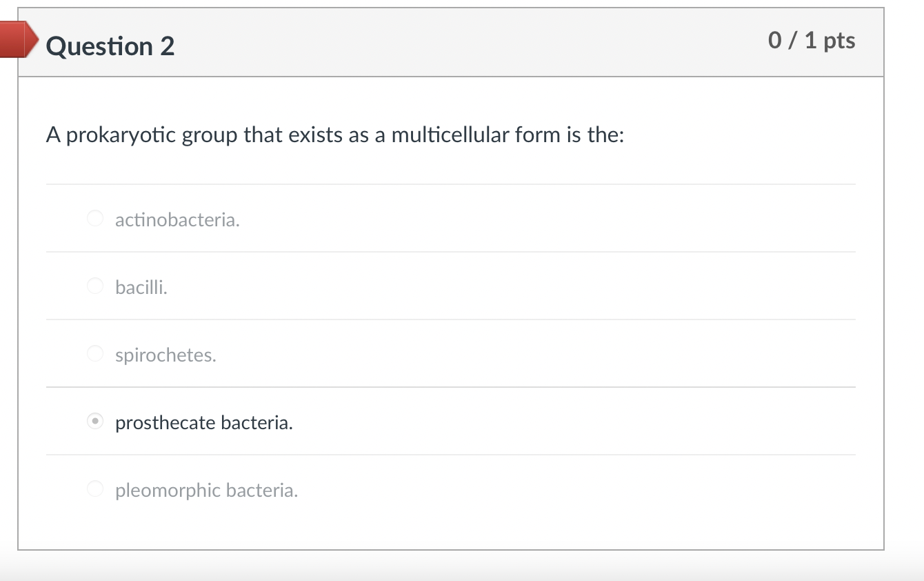 Solved A prokaryotic group that exists as a multicellular | Chegg.com