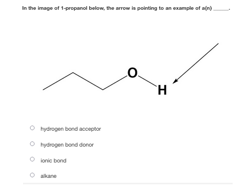 Solved In the image of 1-propanol below, the arrow is | Chegg.com