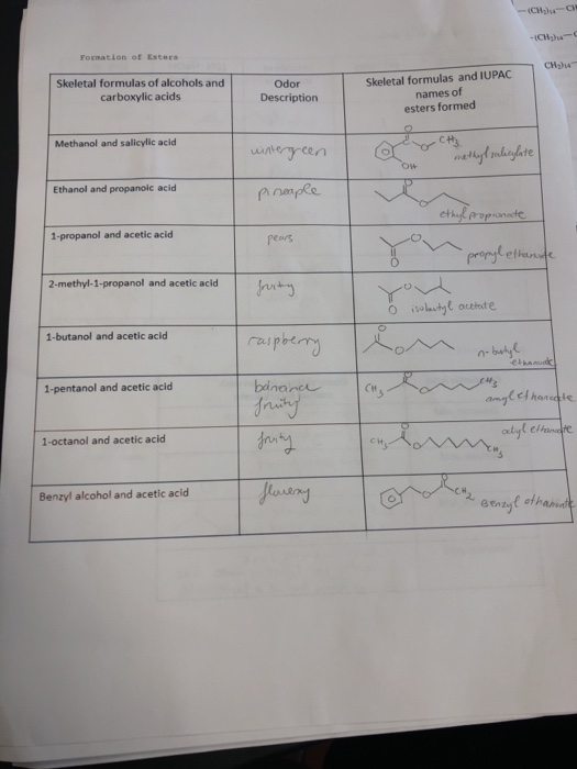 Solved (CH24- CH Formation of Esters Skeletal formulas of | Chegg.com