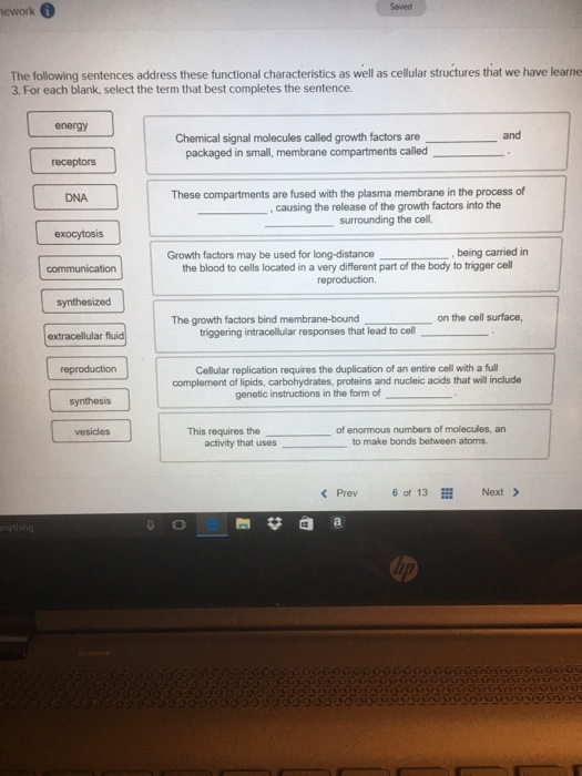 Solved The following sentences address these functional | Chegg.com
