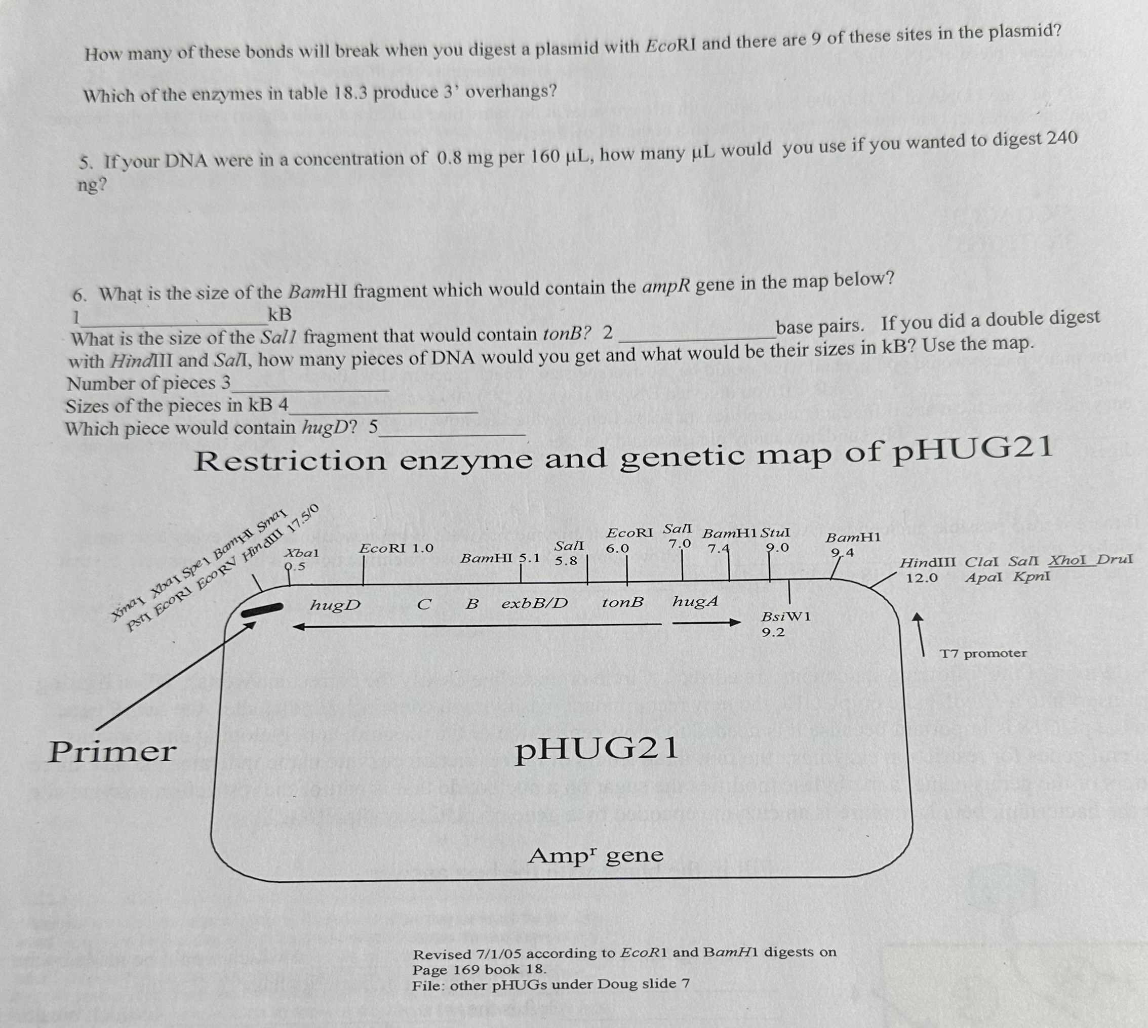 A genetic and restriction enzyme map of pHUG21 is | Chegg.com