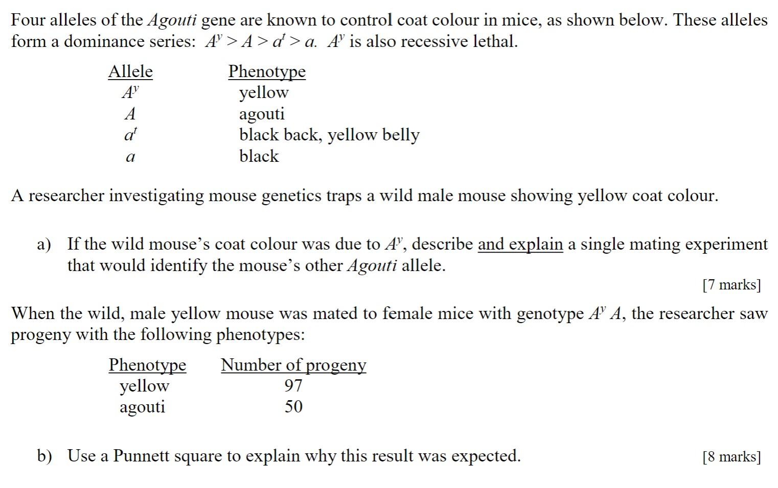 Solved Four alleles of the Agouti gene are known to control | Chegg.com