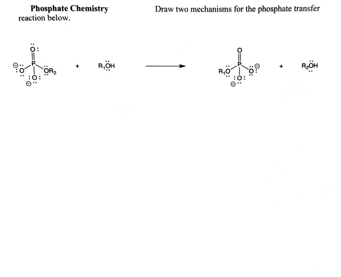 Solved Phosphate Chemistry Draw two mechanisms for the | Chegg.com