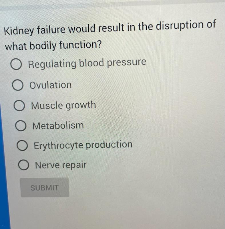 Solved Kidney failure would result in the disruption of what | Chegg.com