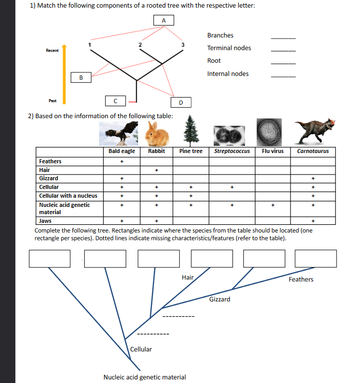 [Solved]: Need help 1) Match the following components of