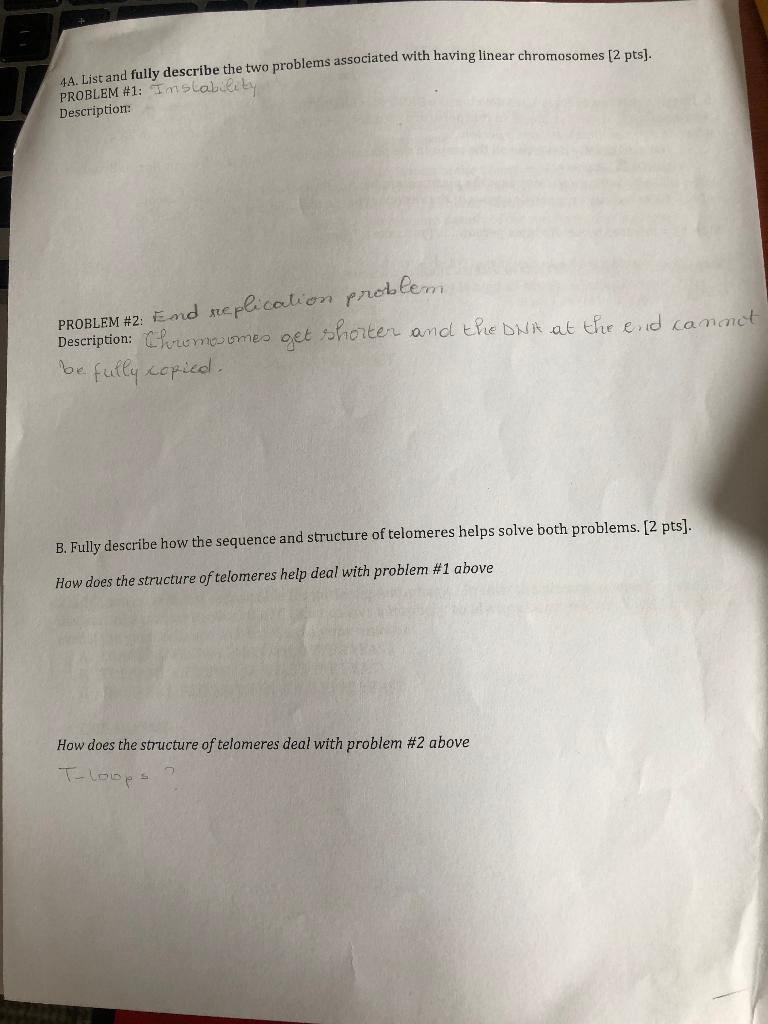 Solved 4A. List and fully describe the two problems | Chegg.com