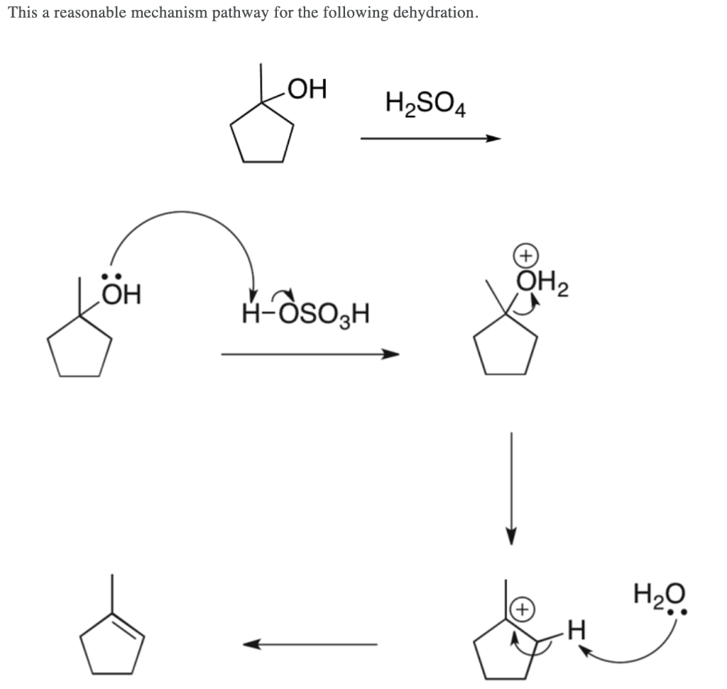 Solved This a reasonable mechanism pathway for the following | Chegg.com