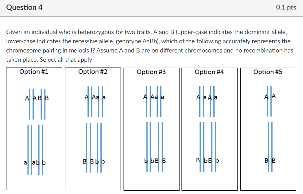 Solved Question 4Given an individual who is heterozygous for | Chegg.com