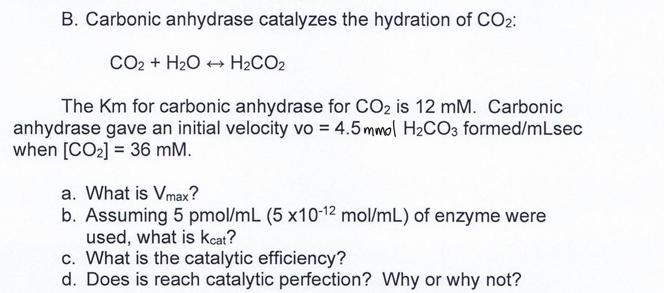 Solved B. Carbonic anhydrase catalyzes the hydration of CO2: | Chegg.com