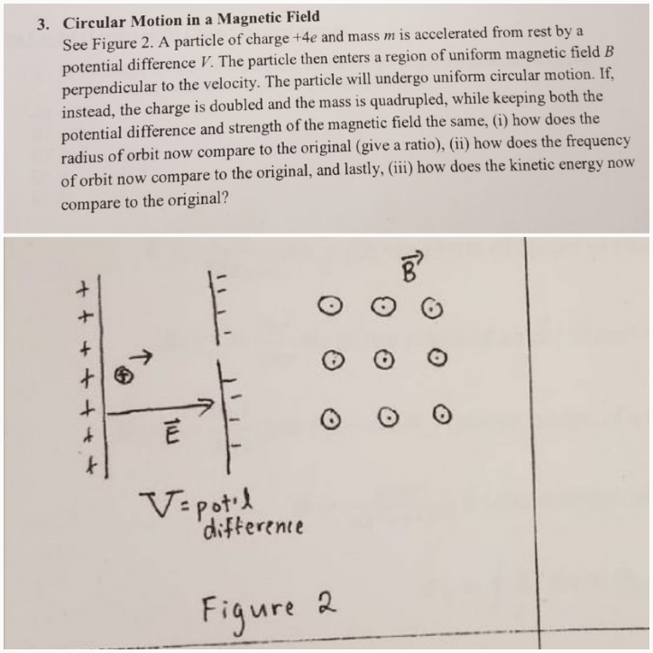 Solved 3. Circular Motion in a Magnetic Field See Figure 2. | Chegg.com