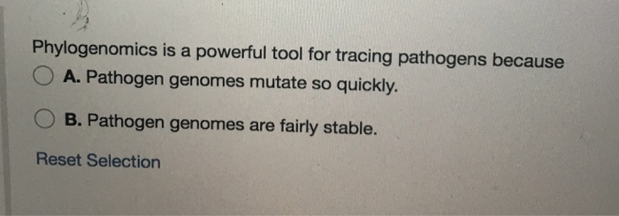 Solved Phylogenomics is a powerful tool for tracing | Chegg.com