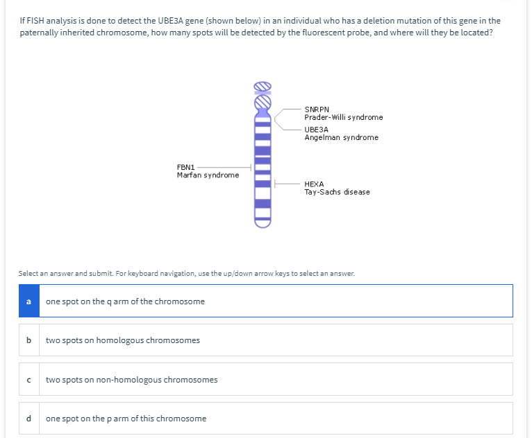 Solved IF FISH analysis is done to detect the UBE3A gene | Chegg.com