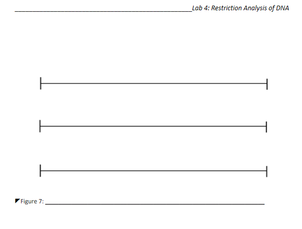 Laboratory 4: Restriction Analysis of DNA . Learning | Chegg.com