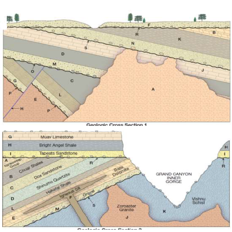 Solved What are the types of unconformities present, label | Chegg.com