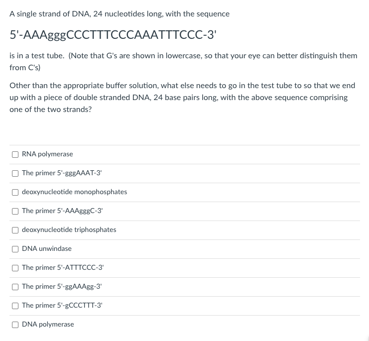 Solved A single strand of DNA, 24 nucleotides long, with the | Chegg.com