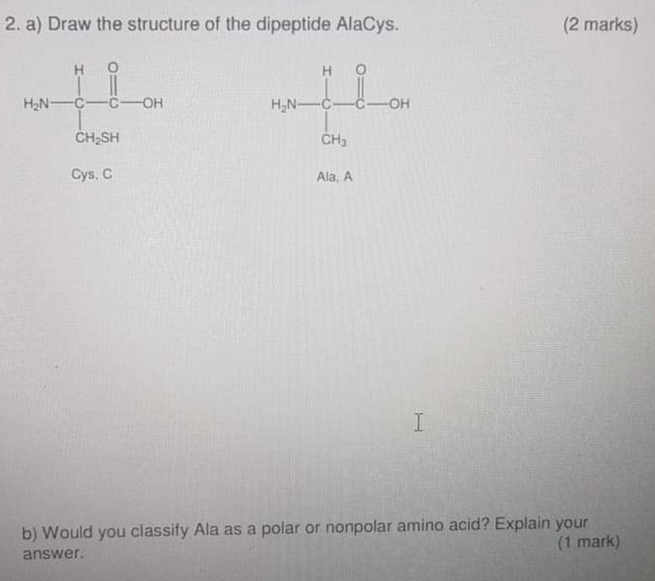 Solved 2. a) Draw the structure of the dipeptide AlaCys. (2 | Chegg.com