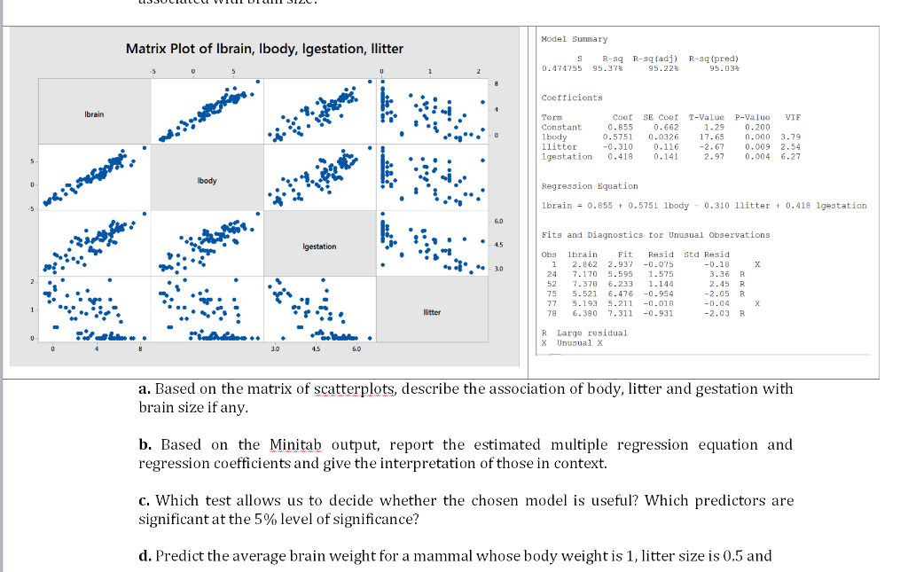 Solved 6. Why do some mammals have large brains for their | Chegg.com