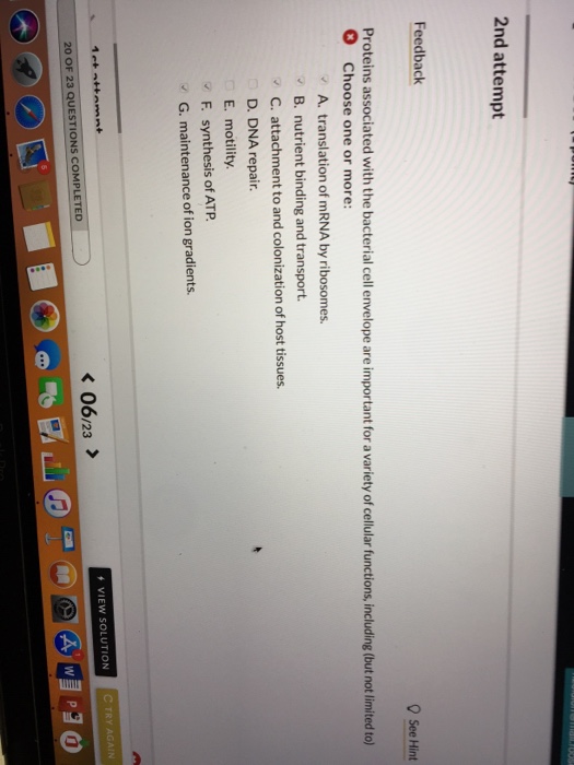 Solved 2nd attempt Feedback See Hint Proteins associated | Chegg.com