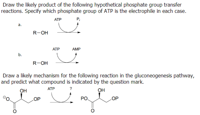 The reaction below shows the synthesis of | Chegg.com