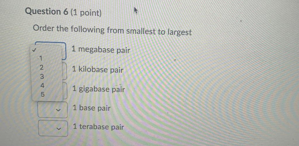 Solved Question 6 (1 point) Order the following from | Chegg.com