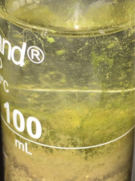 Using the reference of the Winogradsky column above, | Chegg.com