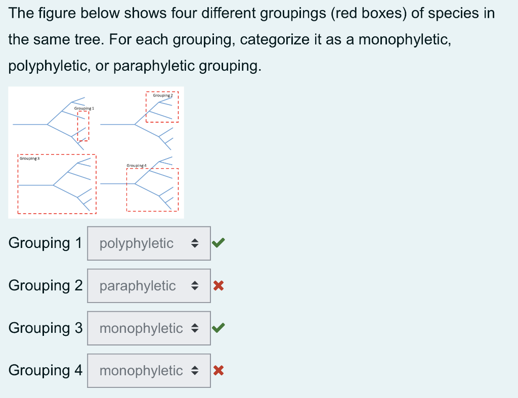 Solved The figure below shows four different groupings (red | Chegg.com